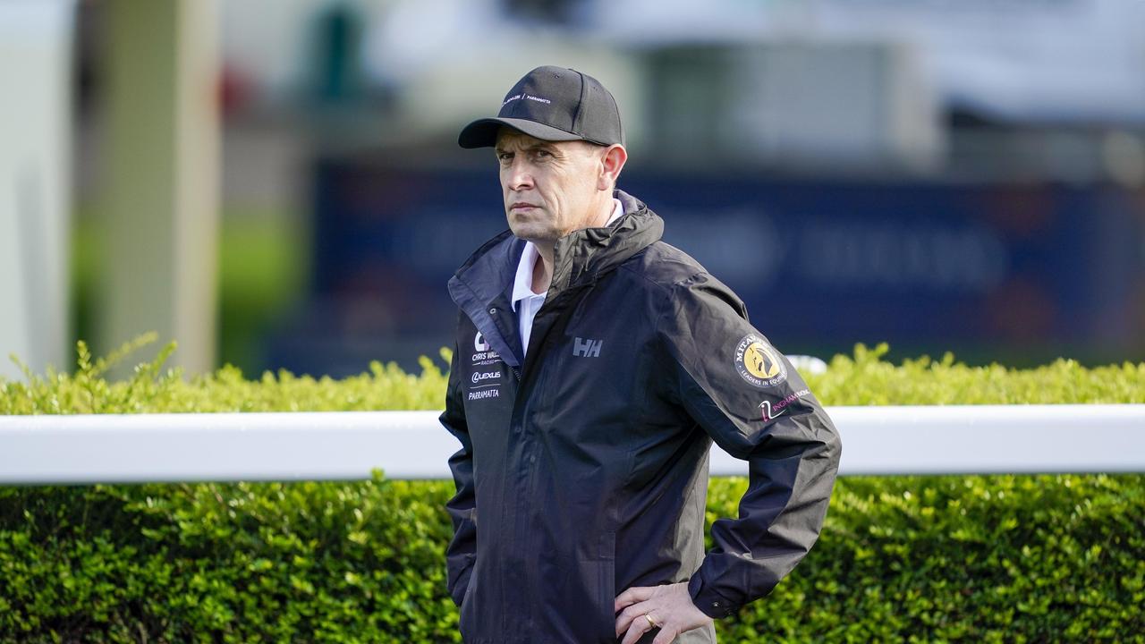 "We are here to get a job done": Royal Ascot no holiday for Waller ...