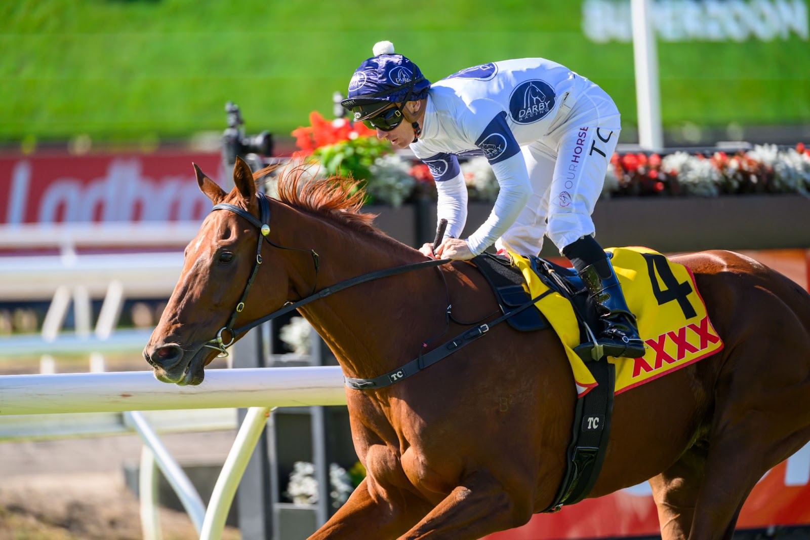 Queensland Oaks 2026 | Tips, Odds, Field & Results | Racenet