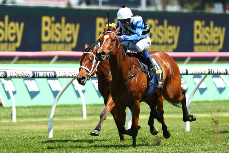 Reginald Allen Quality 2024 Tips & Betting - Racenet