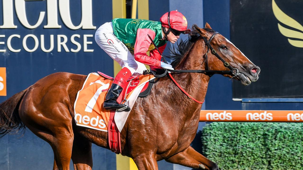 Diva out to give Freedman father and son first stakes winner - Racenet