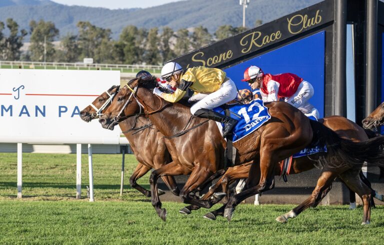 Scone Cup 2025 Tips, Betting & Results - Racenet