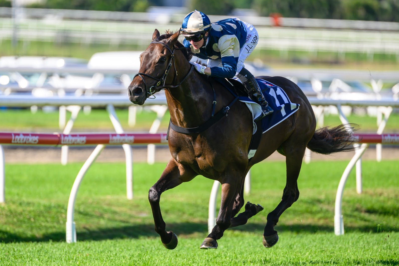 The Big Dance Odds And Betting