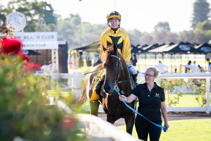 JC Roberts Stakes 2025 Tips & Betting - Racenet