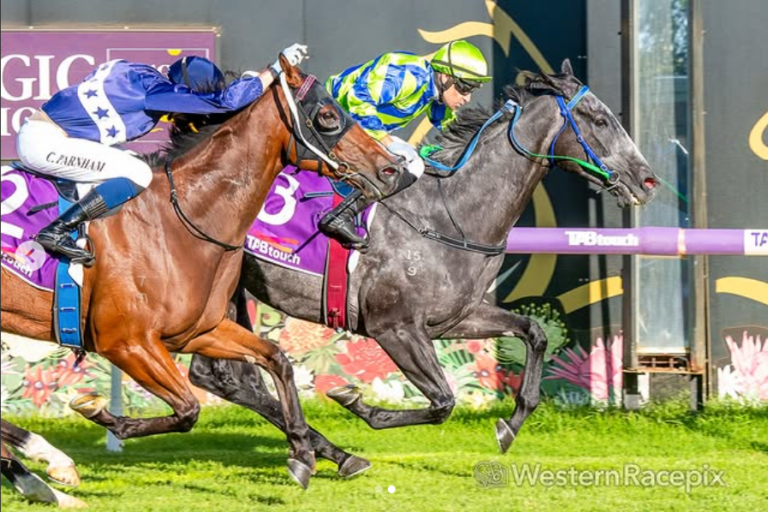 Pinjarra Classic 2025 Tips & Betting - Racenet