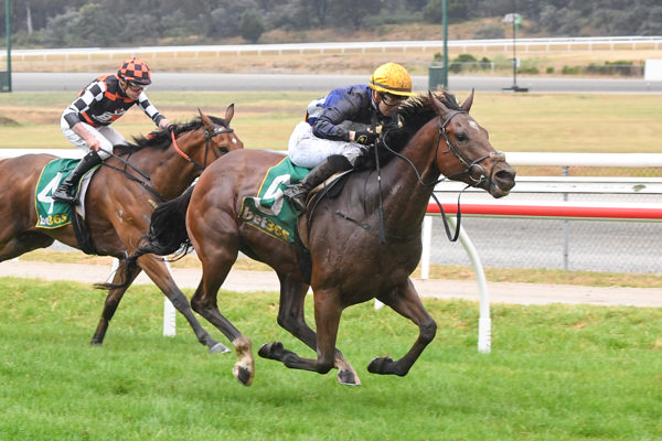 Kilmore Cup 2025 Tips, Betting & Results - Racenet