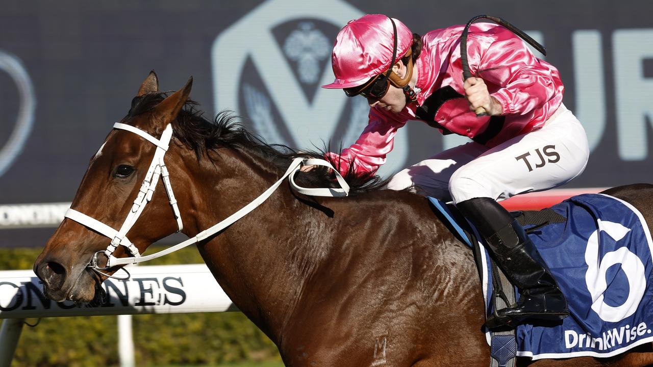 Rising stayer puts rivals to Shame at Randwick - Racenet