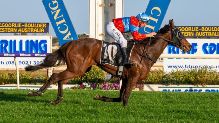 Boulder Cup 2024 Tips, Betting & Results - Racenet