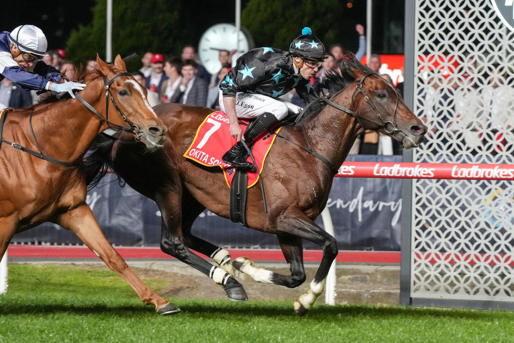 Melbourne Cup 2025 Horses | Horse Details With Tips & Odds | Racenet