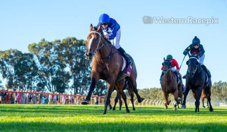 Pinjarra Cup 2025 Tips, Betting & Results - Racenet