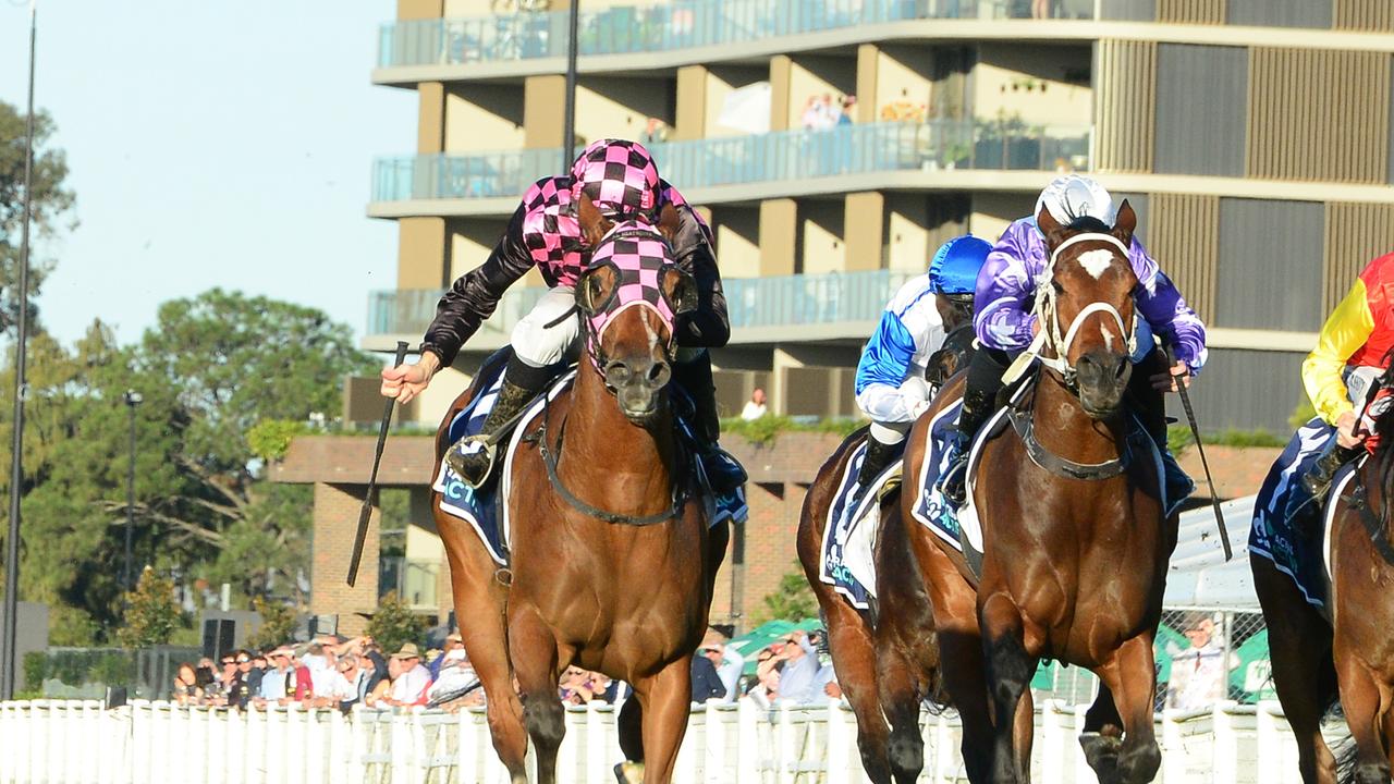 7 horses to follow from Saturday's racing across Australia - Racenet