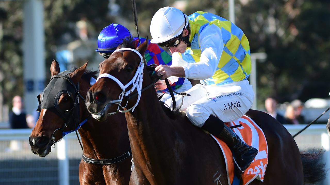 Pro Punter The Guru lands $11 shot at Caulfield - Racenet