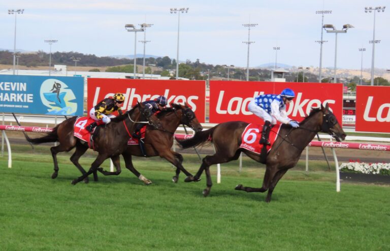 Launceston Cup 2025 Tips, Betting & Results - Racenet