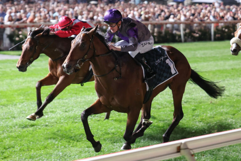 Stutt Stakes 2024 Tips, Betting & Results - Racenet