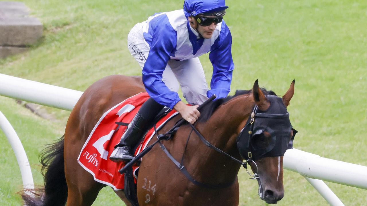 Coolmore buys controlling share in Kacy Fogden colt Best Of Bordeaux