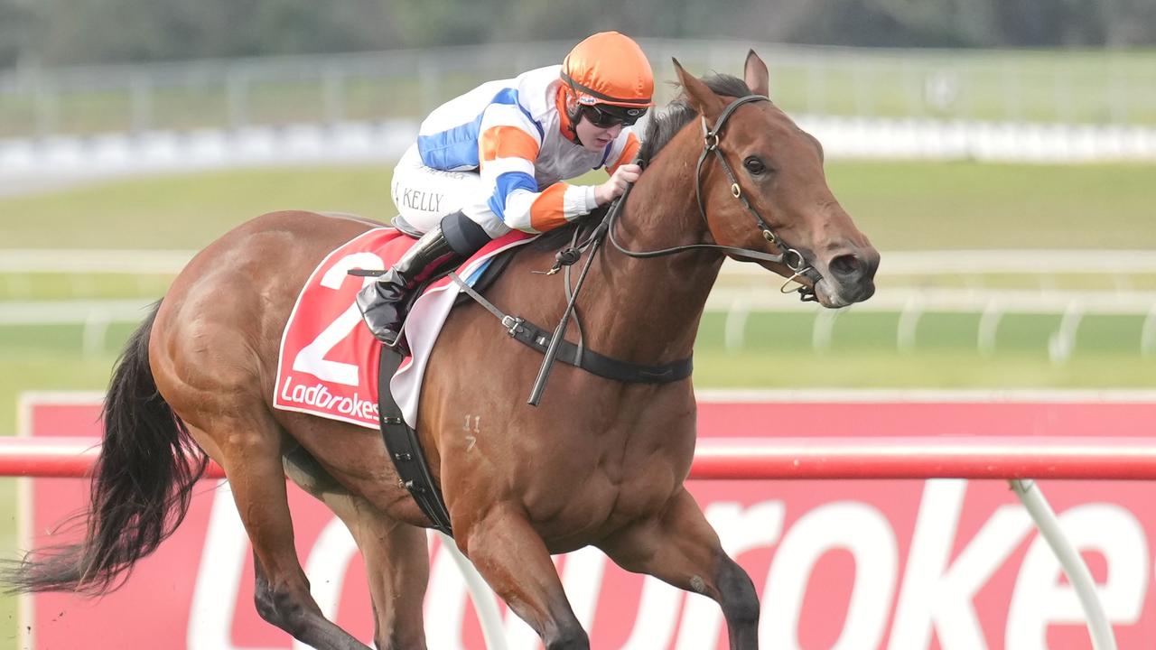 Bill The Boxer aiming to land Flemington knockout on Saturday for Tony ...