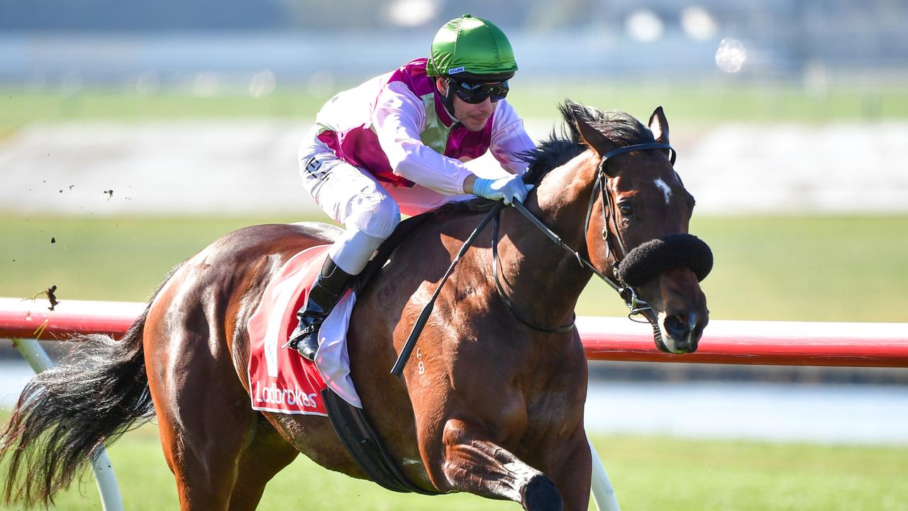 Ben Melham scores comeback win with only ride at Sandown