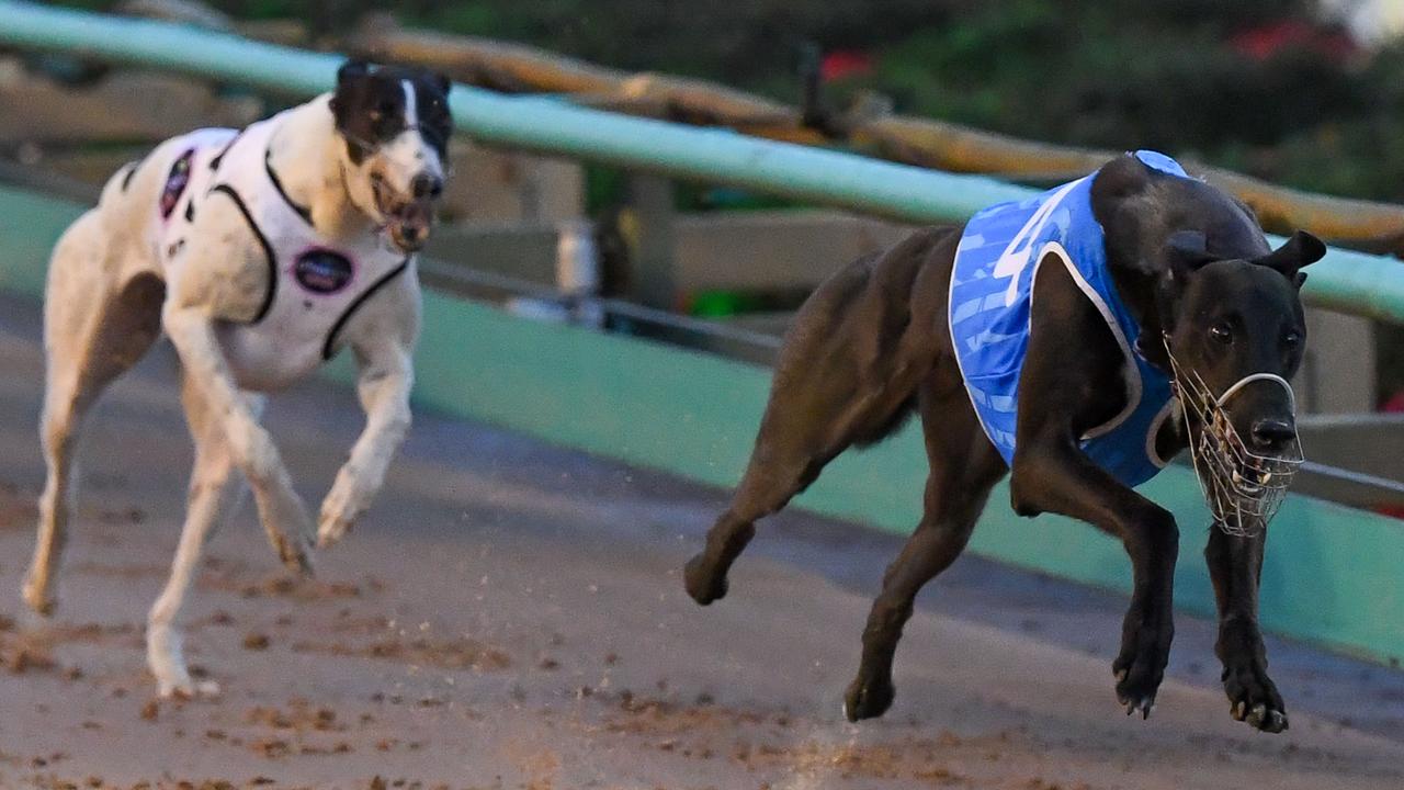 Preview: Wow She's Fast as close to a good thing as you'll get - Racenet