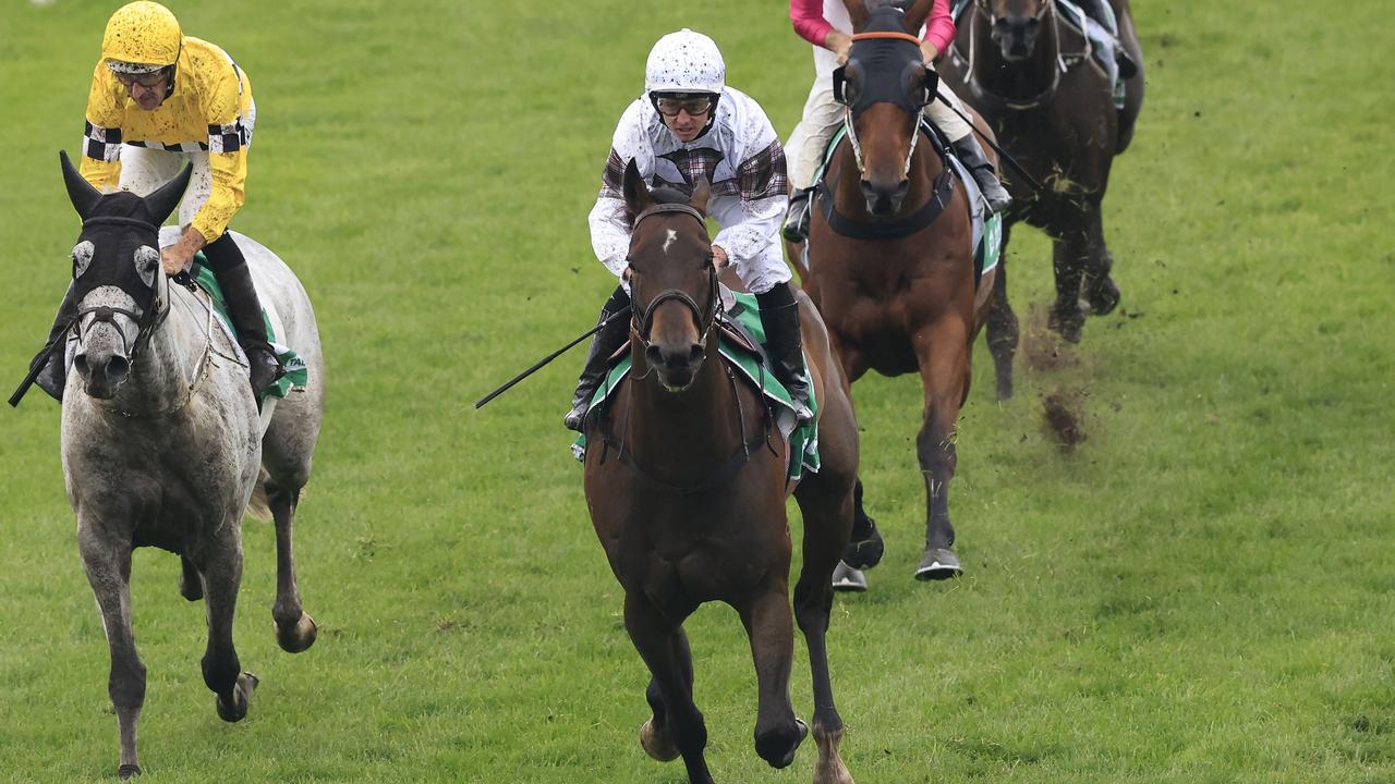 Count De Rupee ramps up The Everest quest at Randwick trials Tuesday ...