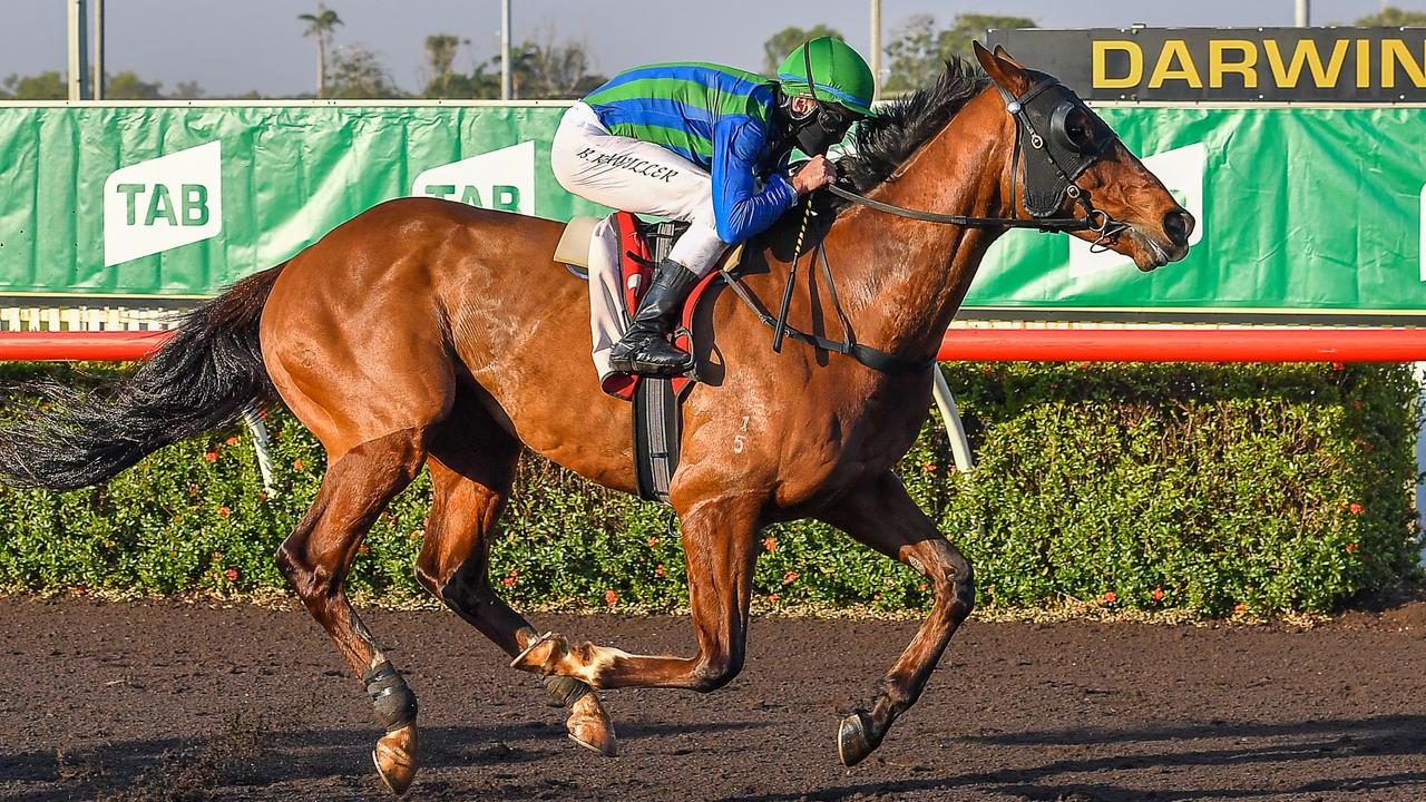 Darwin Cup 2022: Tips and runner-by-runner analysis