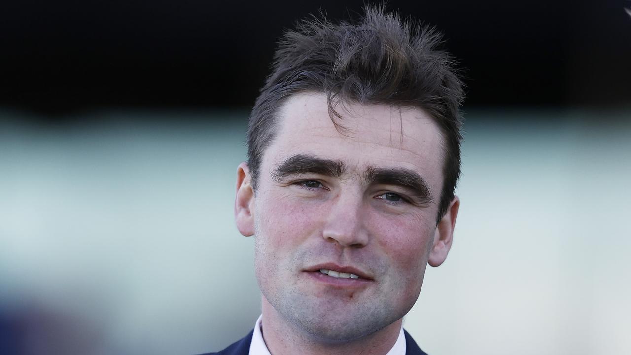 Cox Plate hopeful Gold Trip impresses on debut