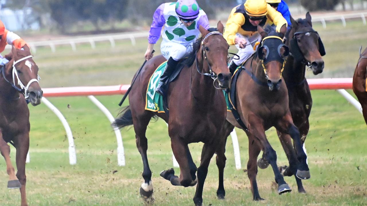 On The Punt: Jewel to shine in the last at Coleraine - Racenet