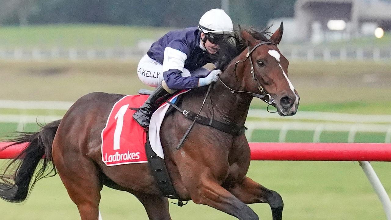 Lloyd Williams-owned Hosier chasing Coffs Harbour Cup with new trainer ...
