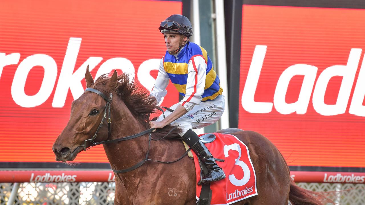 Cameron Happ's horses to follow out of Andrew Ramsden Stakes day - Racenet