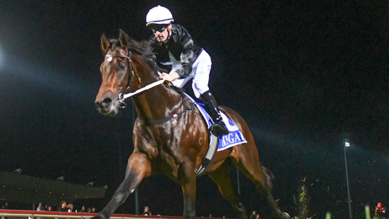 Memsie Stakes equal favourite Illation could miss a start in the $1m ...