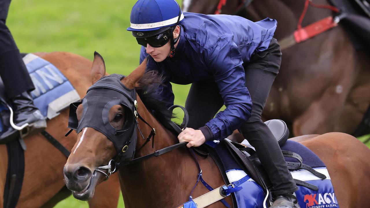 Best Of Bordeaux early favourite to make a winning return in San ...