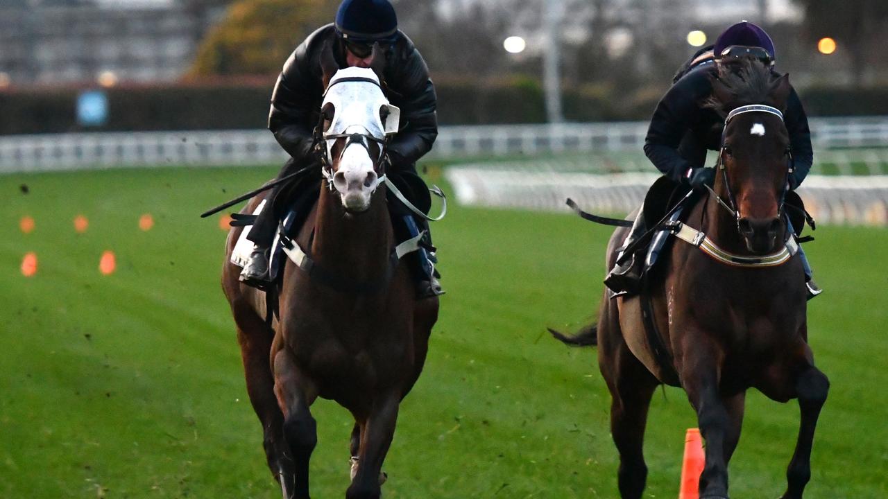 Mick Price is looking forward to the Memsie Stakes with Illation and I ...