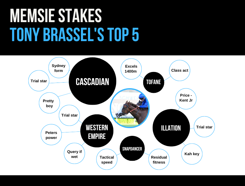 Tony Brassel's Memsie Stakes Top 5 analysis - Racenet