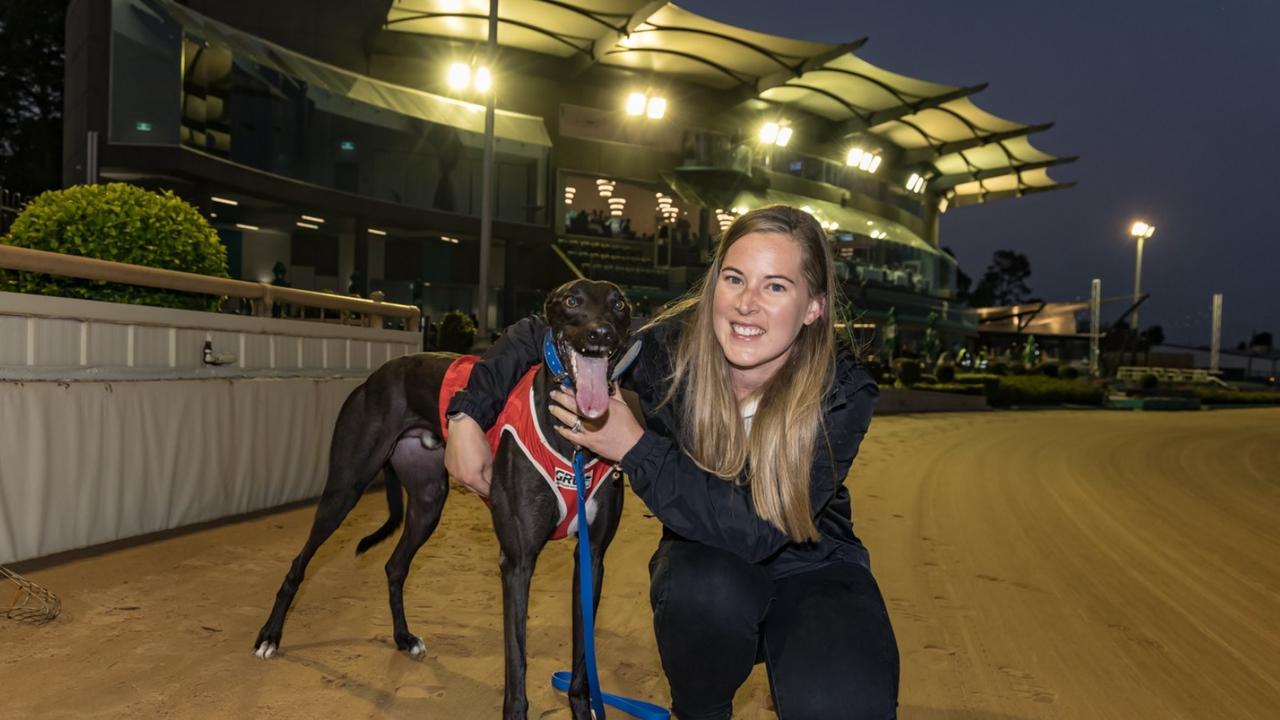 Best bets for greyhound racing at The Meadows [Saturday, August 27]