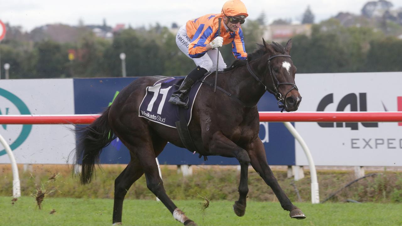 Top New Zealand mare Imperatriz continued her rise winning the ...