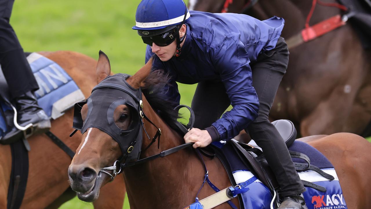 Kacy Fogden confident Best Of Bordeaux can bounce back in Run To The Rose