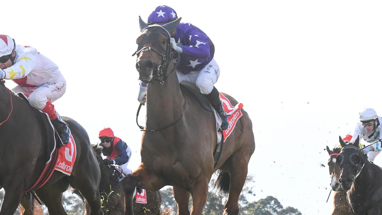 On The Punt: Jockey Daniel Stackhouse has strong book of five rides at Sale