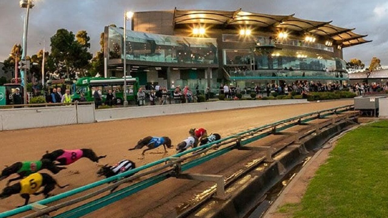 Sportsbet to sponsor Victorian greyhound racing