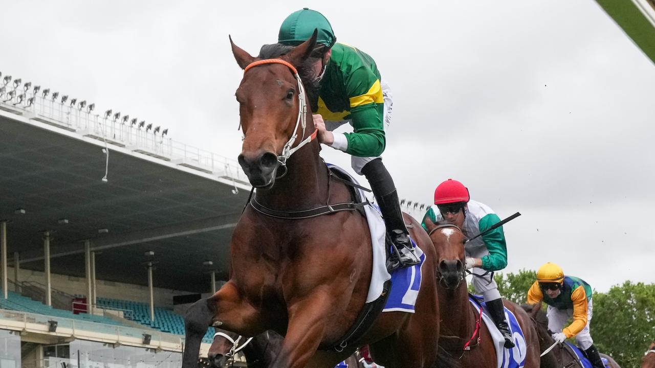 Wayne Hawkes wonders whether The Valley will favour McEwen Stakes ...