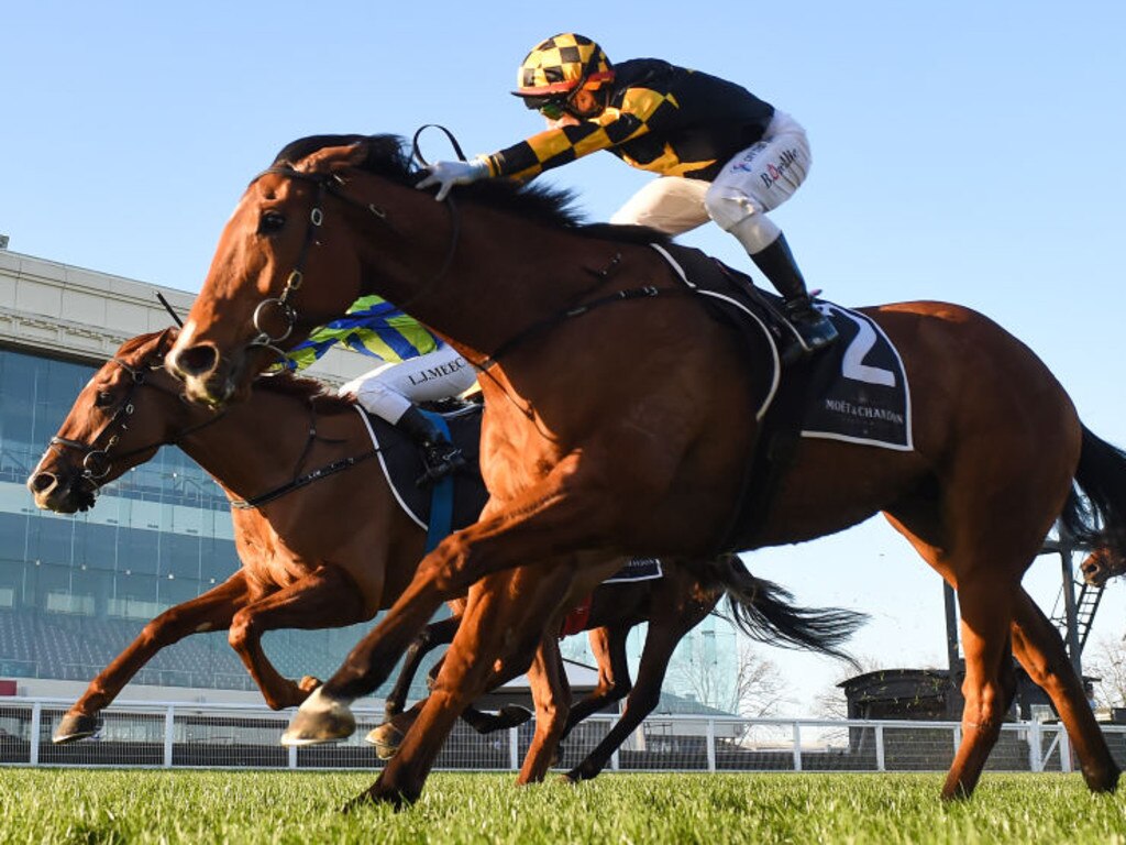 David Jolly says decision on Behemoth's future will be made after Wylie ...