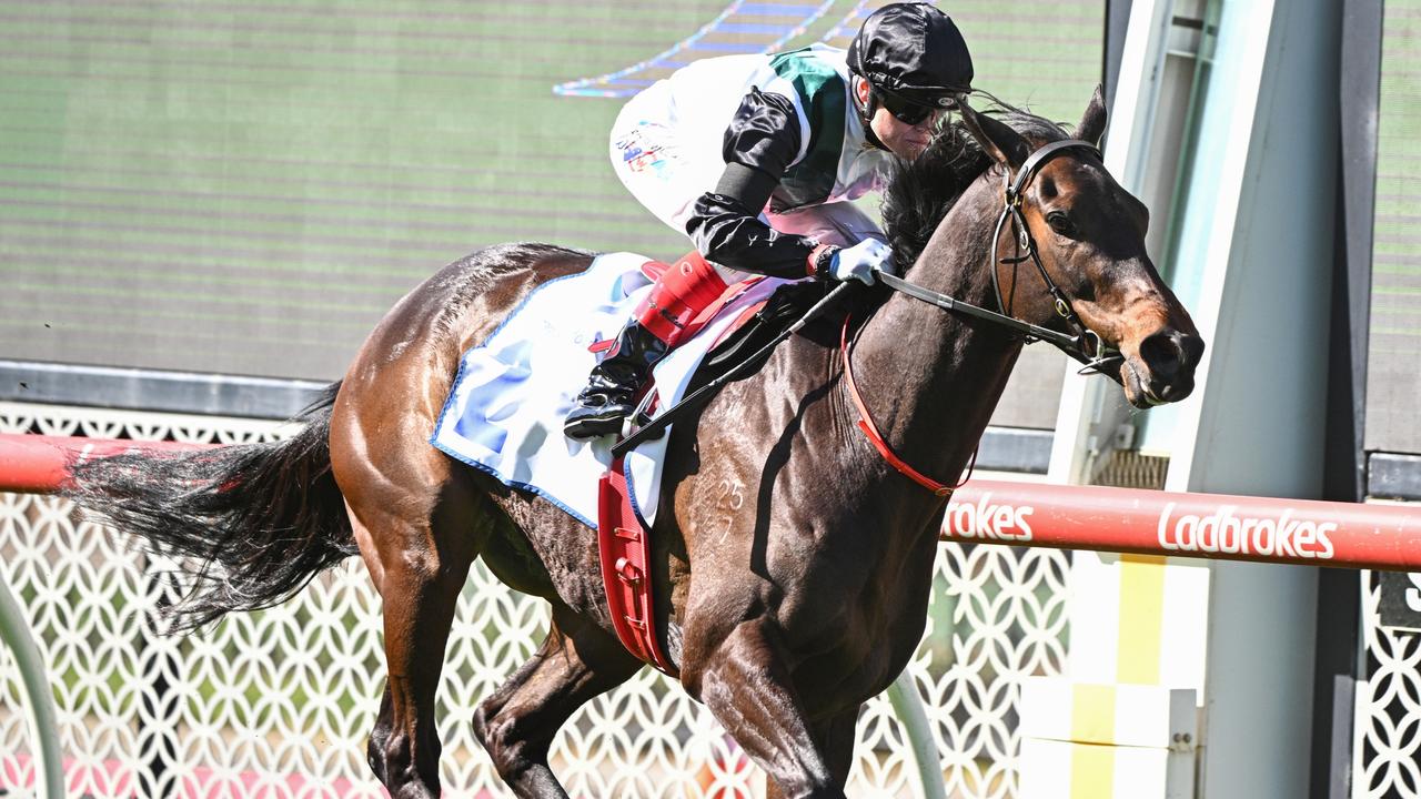 Cox Plate qualified Mr Brightside wins Feehan Stakes, horses to follow ...