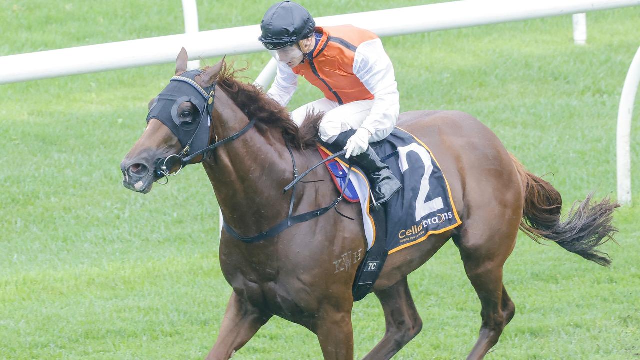 Ellsberg ready for Theo Marks Stakes showdown