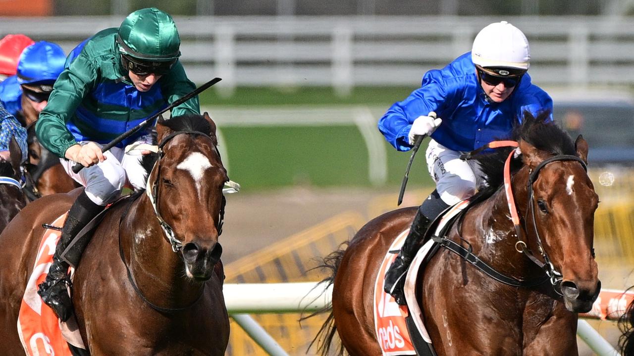 Sir Rupert Clarke Stakes runner backed from $101 into $21