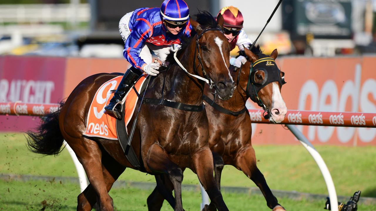 First-up specialist Ayrton is primed for Saturday's Sir Rupert Clarke ...
