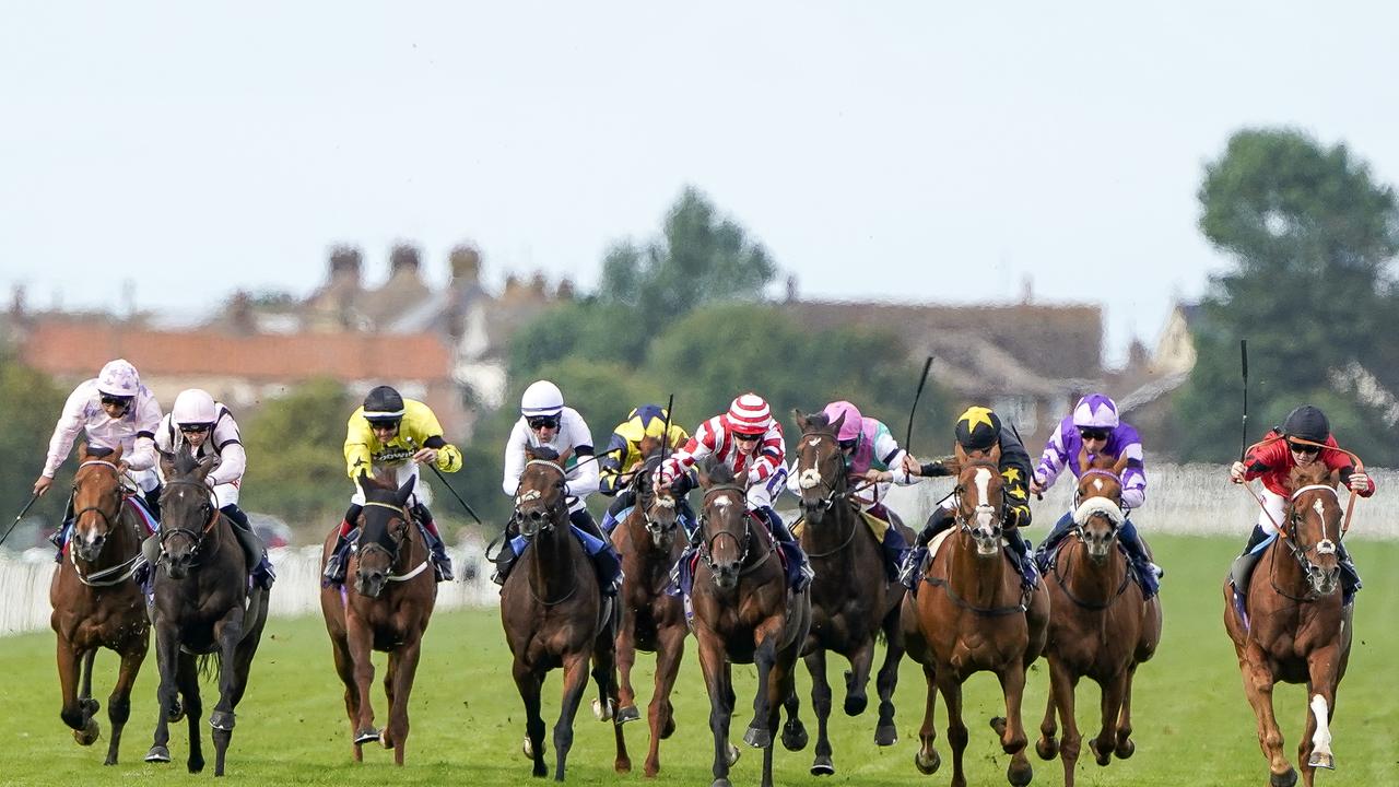 Greg Polson's Narrandera Tips: Patience the key - Racenet