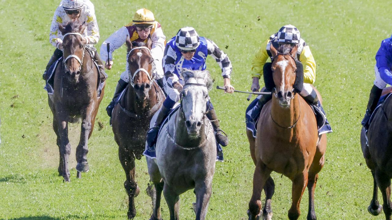 Top Ranked firms for Epsom after winning return in Bill Ritchie Handicap