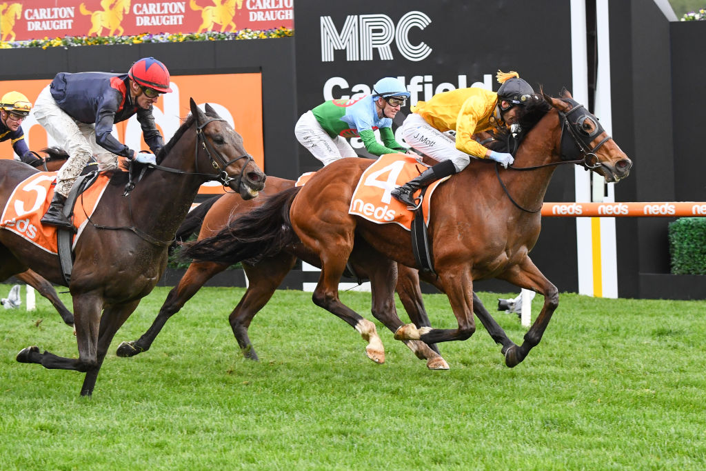 Sir Rupert Clarke Stakes 2023 | Tips, Odds, Field & Results | Racenet