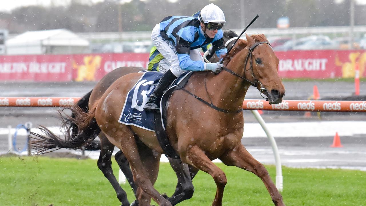 Monday Racebook: Horses to follow from Caulfield and Flemington