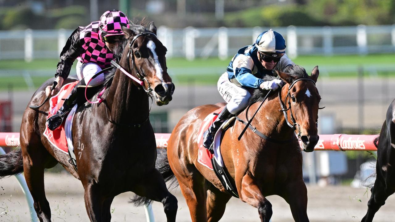 Group 1 Moir Stakes final field and barrier revealed