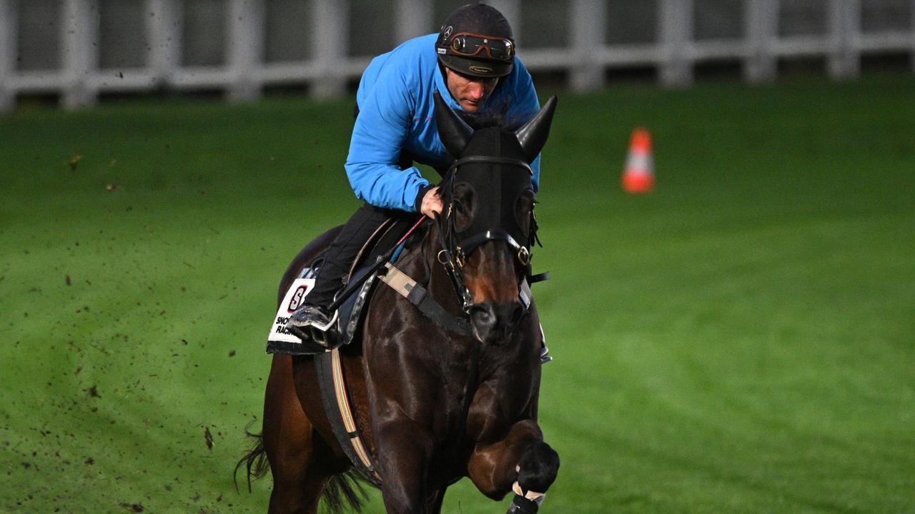 Tony Gollan confident Zoustyle can thrive in Moir pressure test