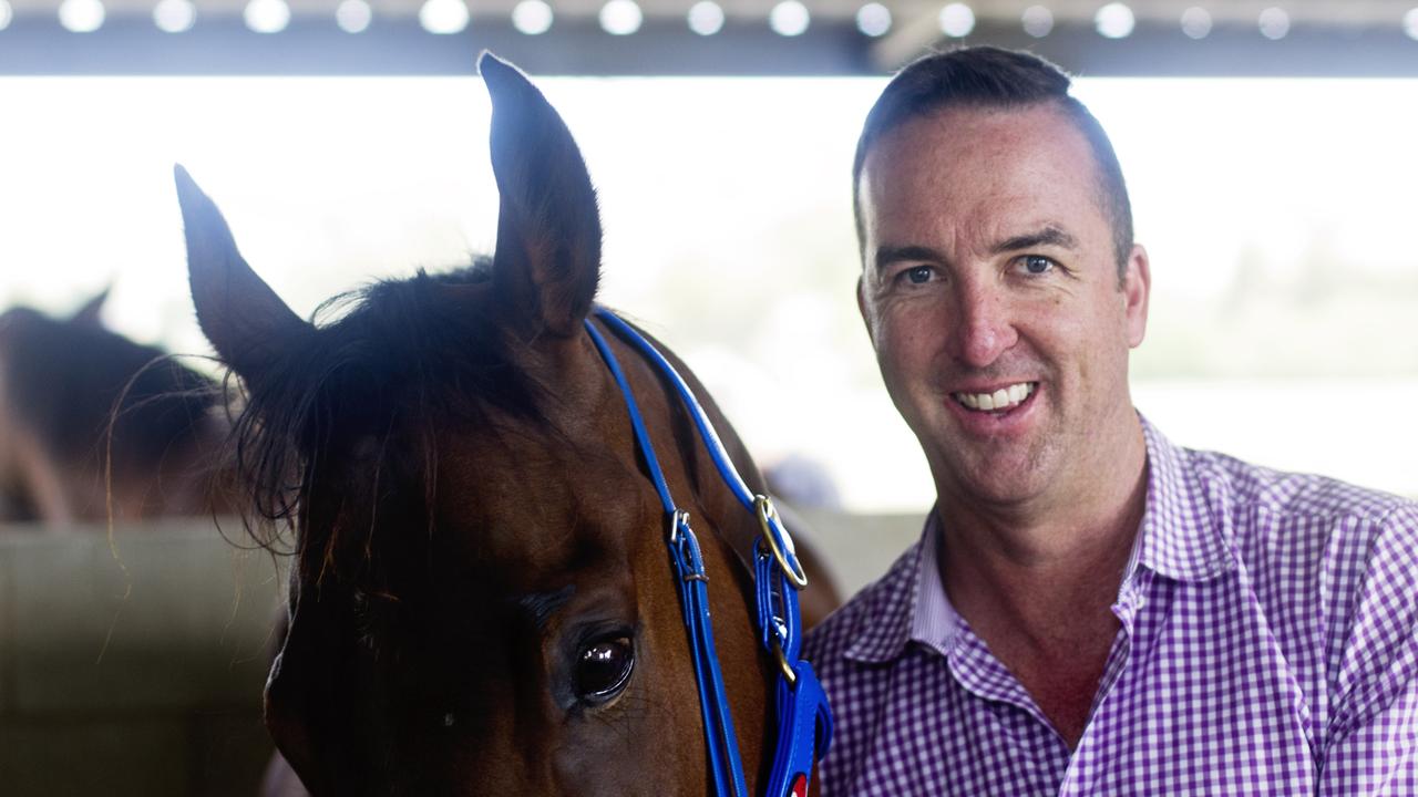 Strikingly marked debutant set to launch at Leeton - Racenet