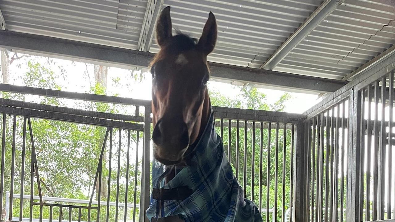 Heroic Eagle ‘boring' compared to doglike Thelwell but has ability